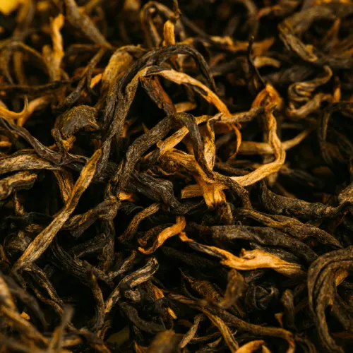 Lume Cafe: A cozy haven for coffee and conversation